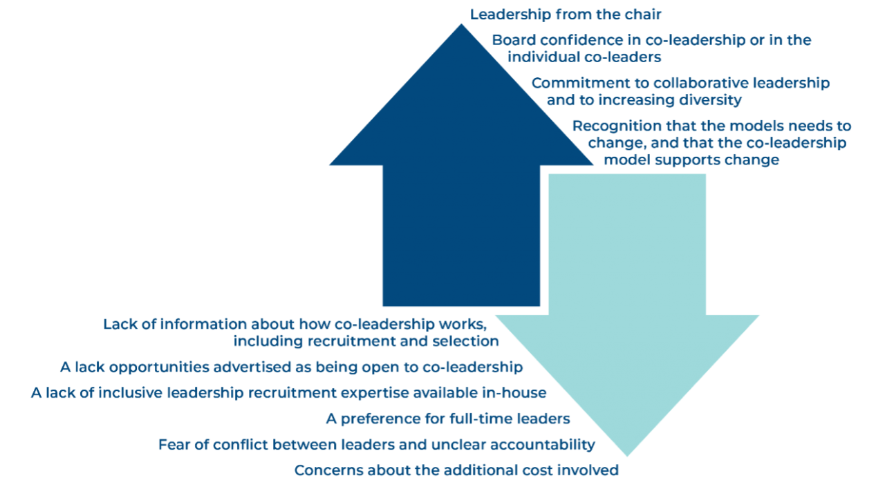 Co-Leadership: A enabler of greater leadership diversity in the ...